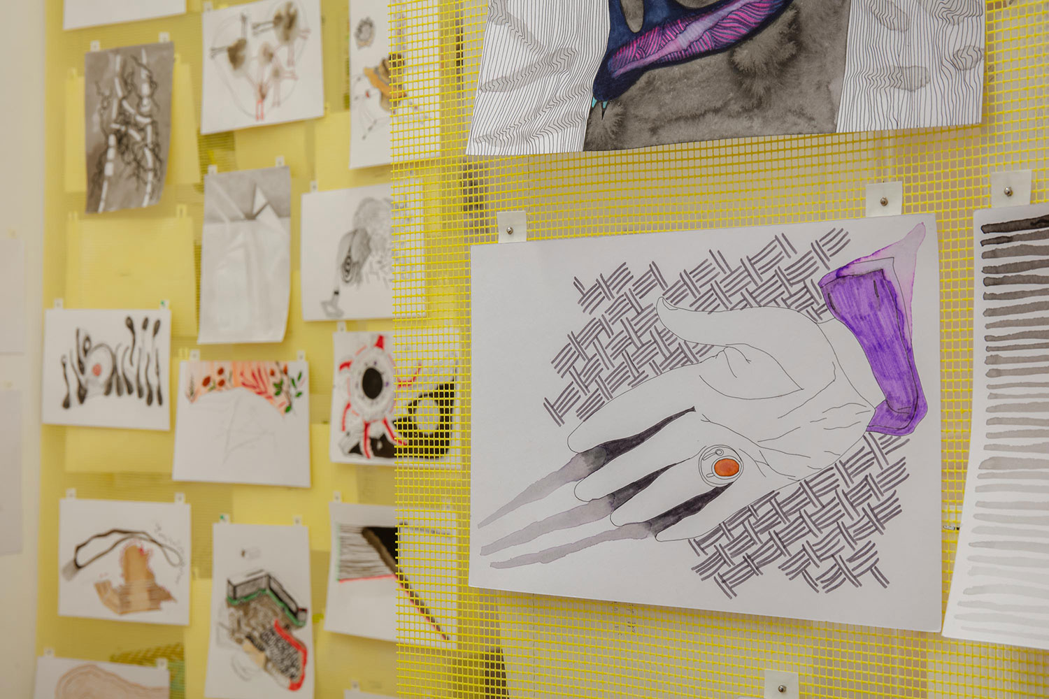 366 drawings by Sophia Tabatadze — installation views