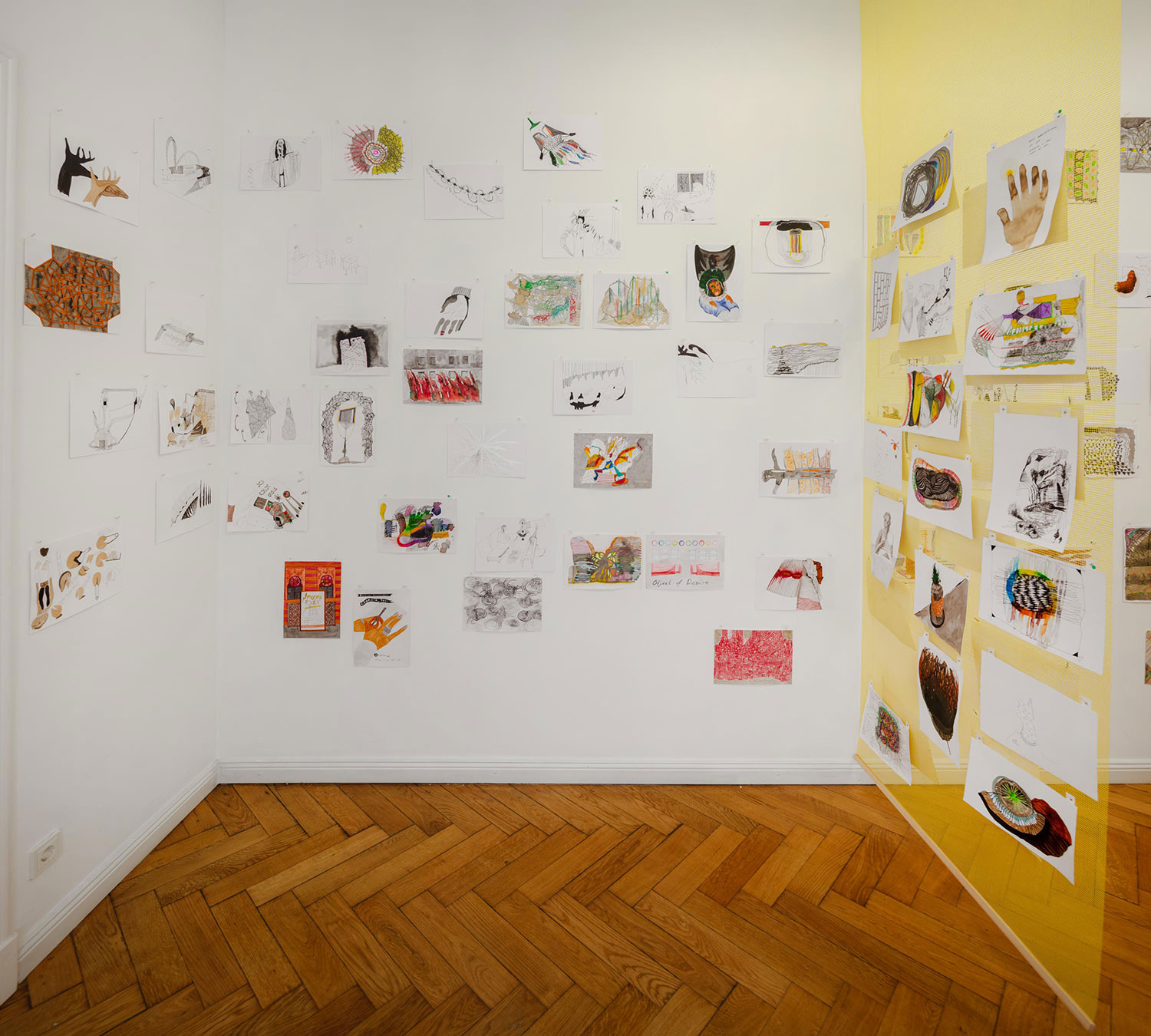 366 drawings by Sophia Tabatadze — installation views